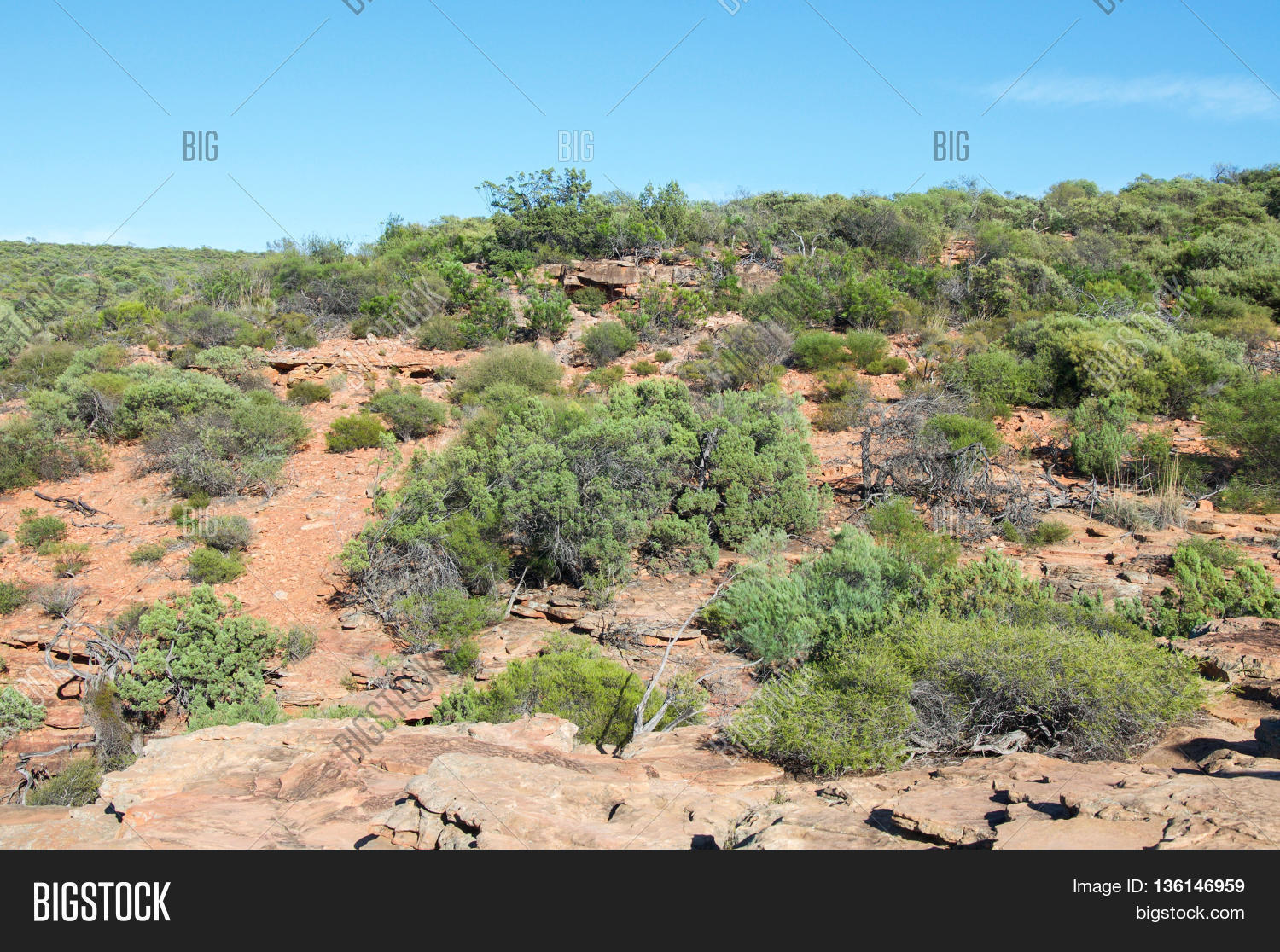 Rugged Bushland Image & Photo (Free Trial) | Bigstock