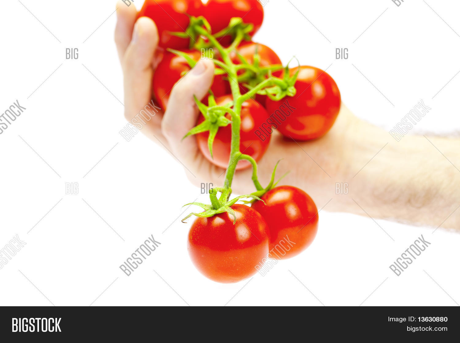 Bunch Tomatoes Hand Image & Photo (Free Trial) | Bigstock