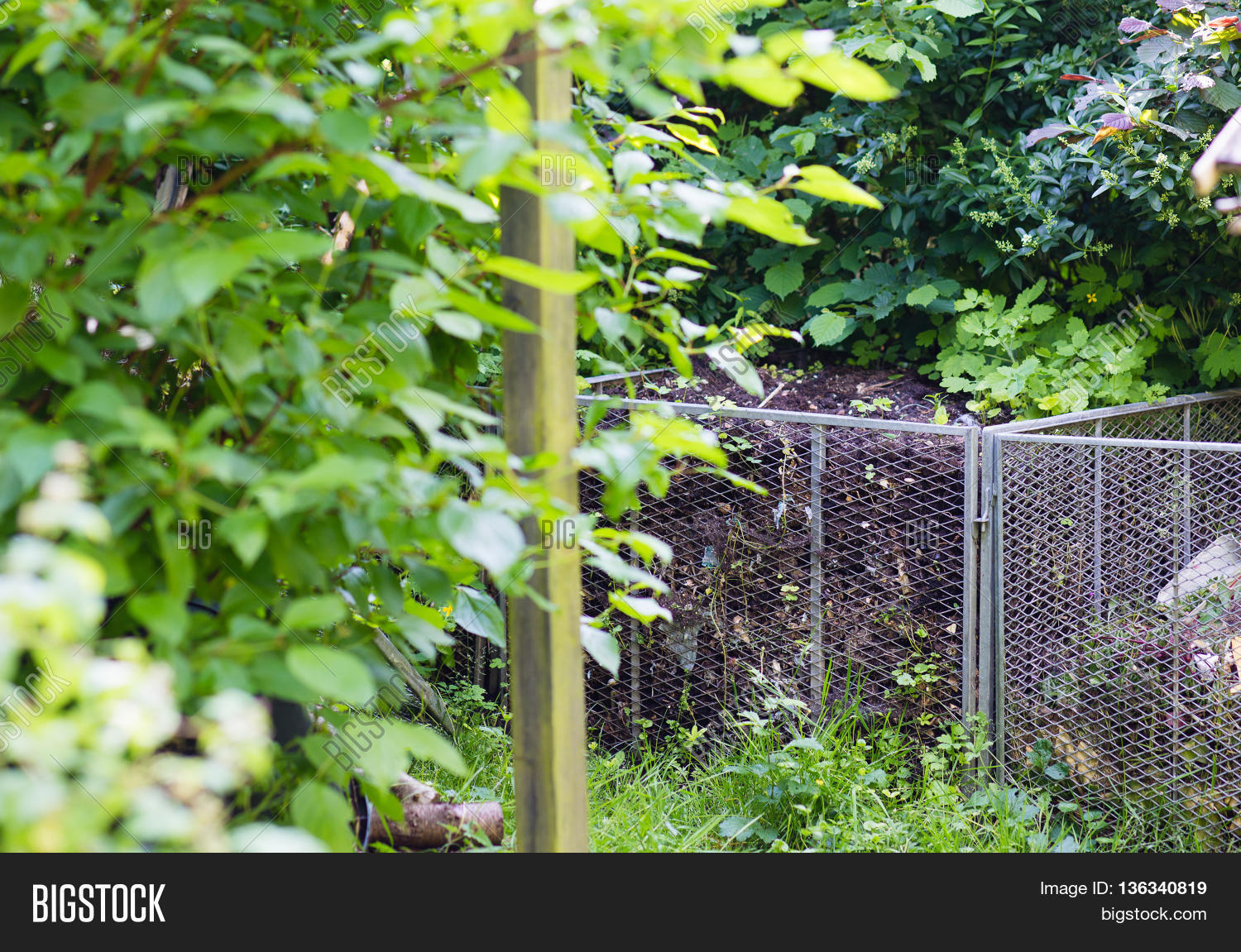 Ready Made Compost Image & Photo (Free Trial) | Bigstock