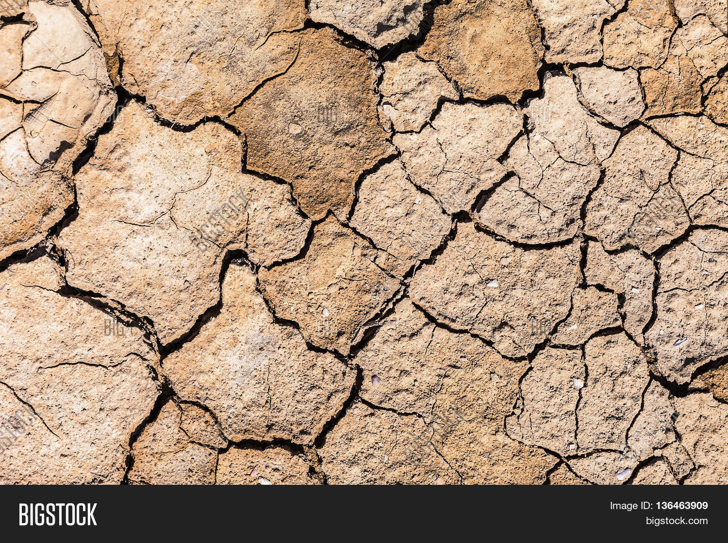 Cracked Ground Texture Image & Photo (Free Trial) | Bigstock