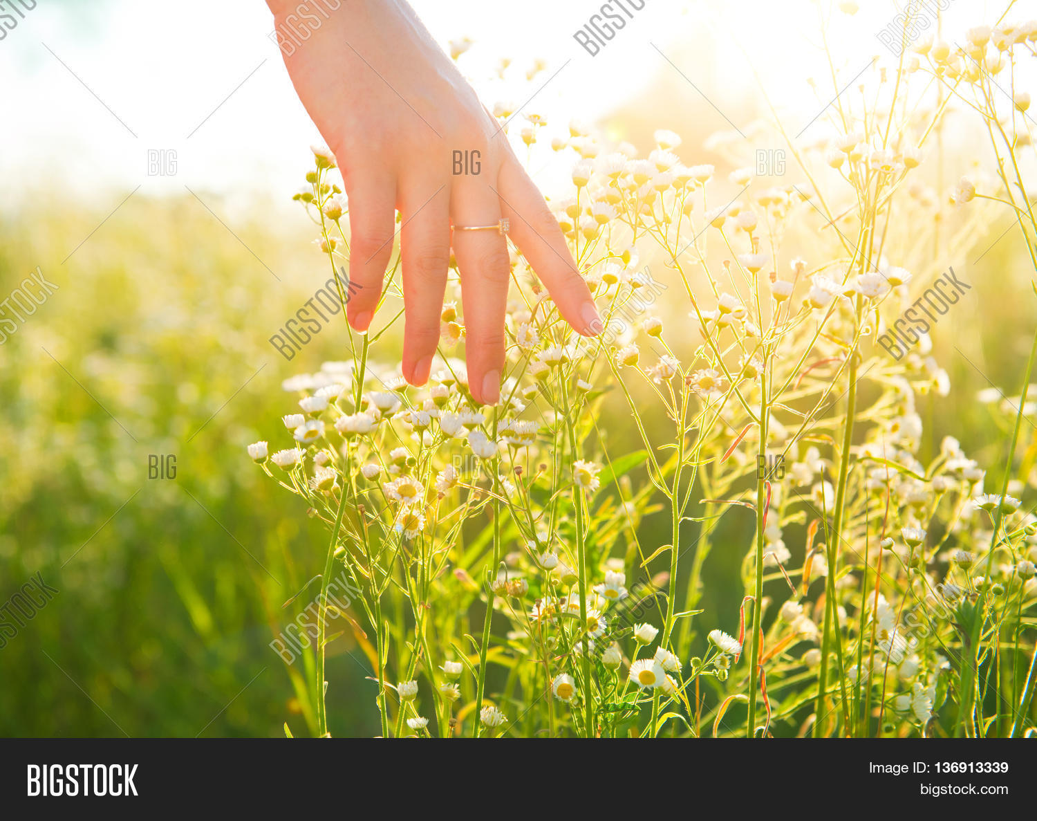 Woman Hand Running Image & Photo (Free Trial) | Bigstock