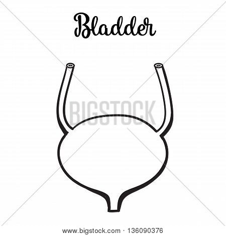 Detailed Image Human Vector & Photo (Free Trial) | Bigstock