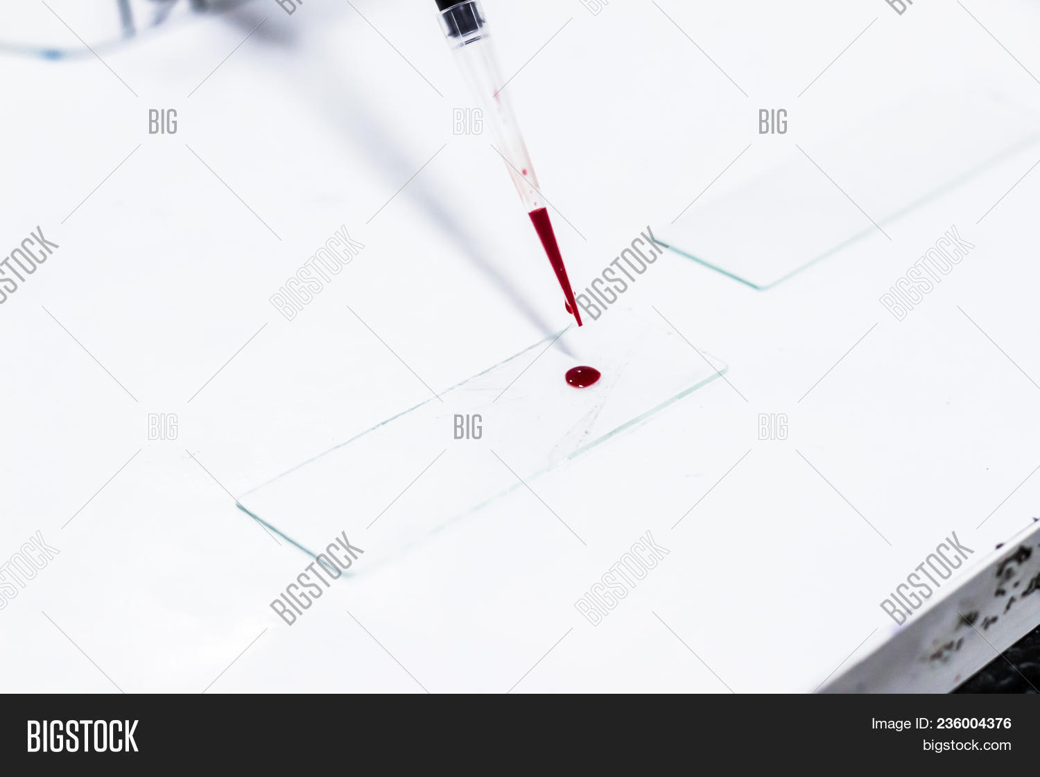 Drop Blood On Glass Image & Photo (Free Trial) | Bigstock