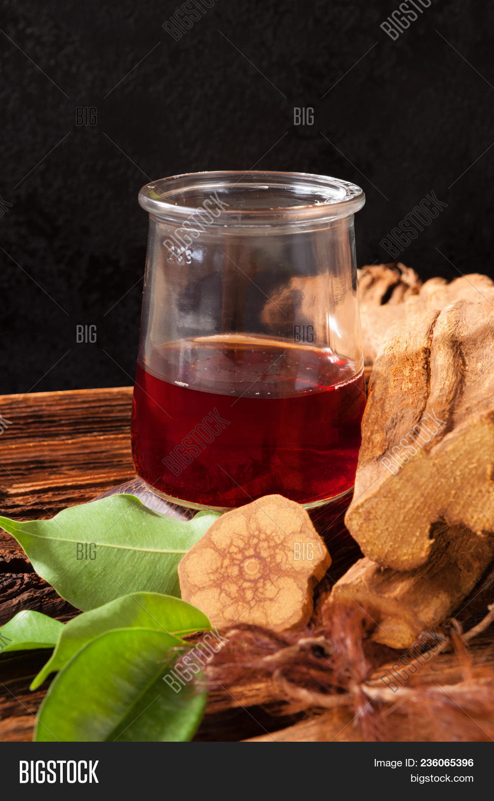 Ayahuasca Ingredients Image & Photo (Free Trial) | Bigstock