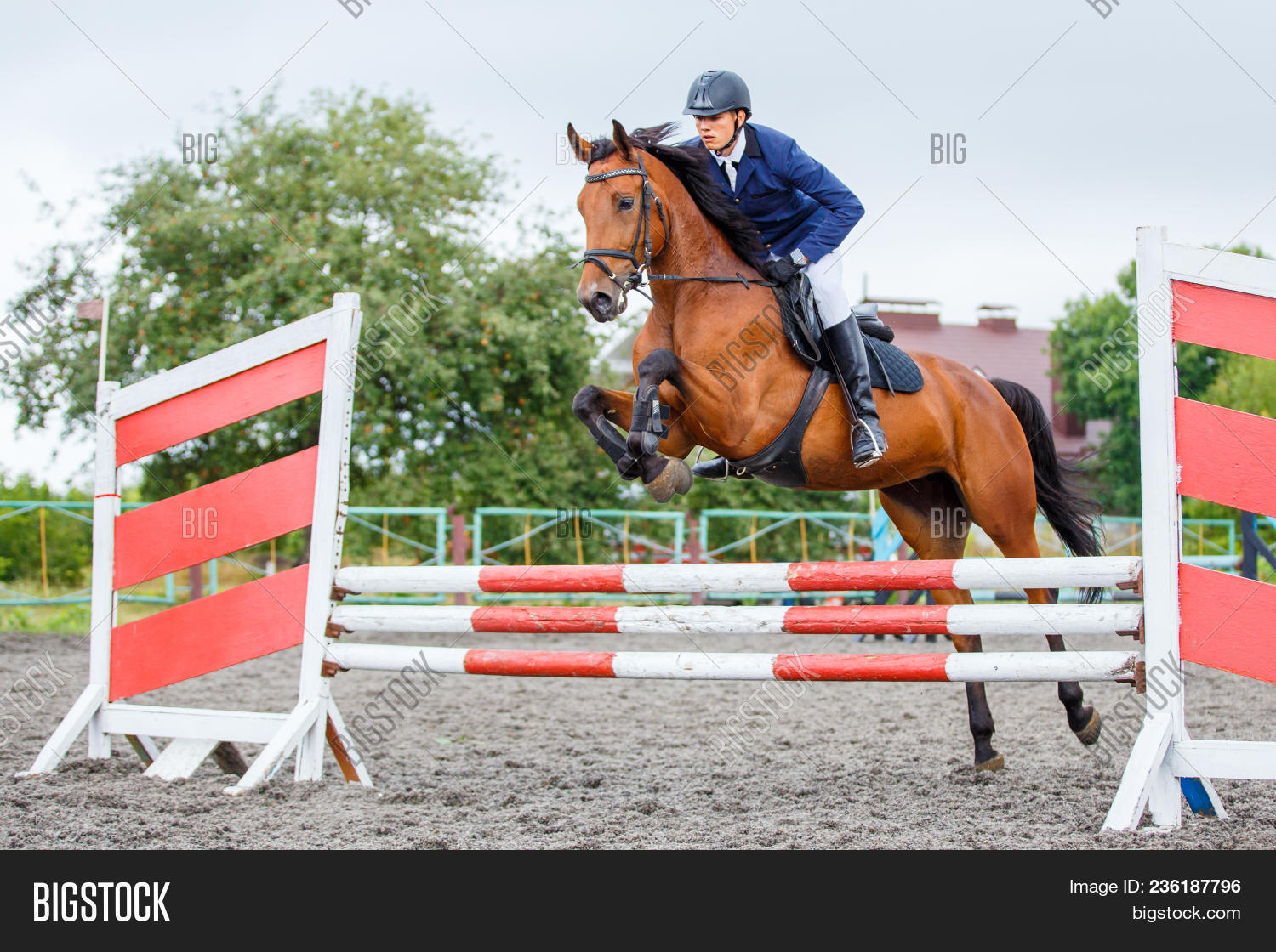 Young Rider Man Image & Photo (Free Trial) | Bigstock