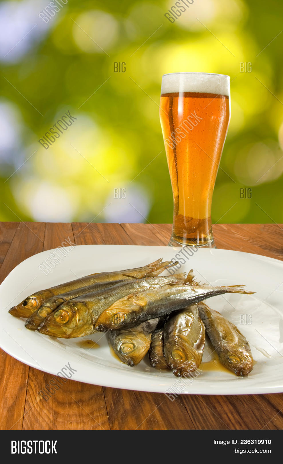 Beer Fish On Green Image & Photo (Free Trial) | Bigstock