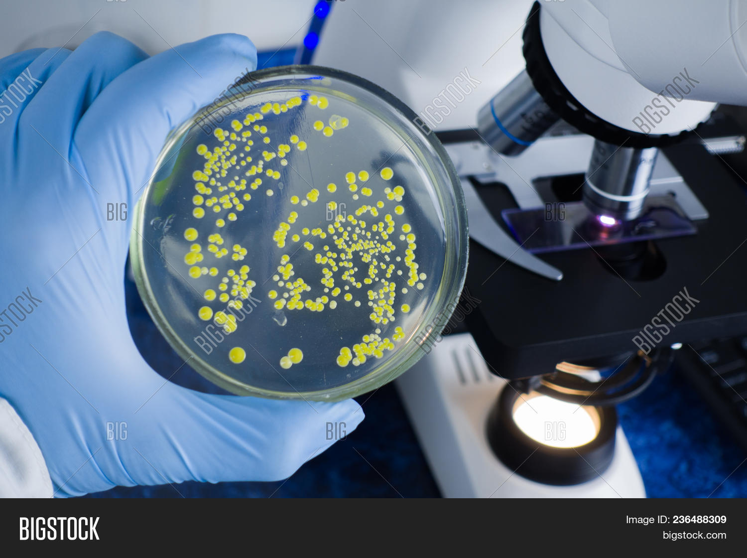 Laboratory Microscope Image & Photo (Free Trial) | Bigstock