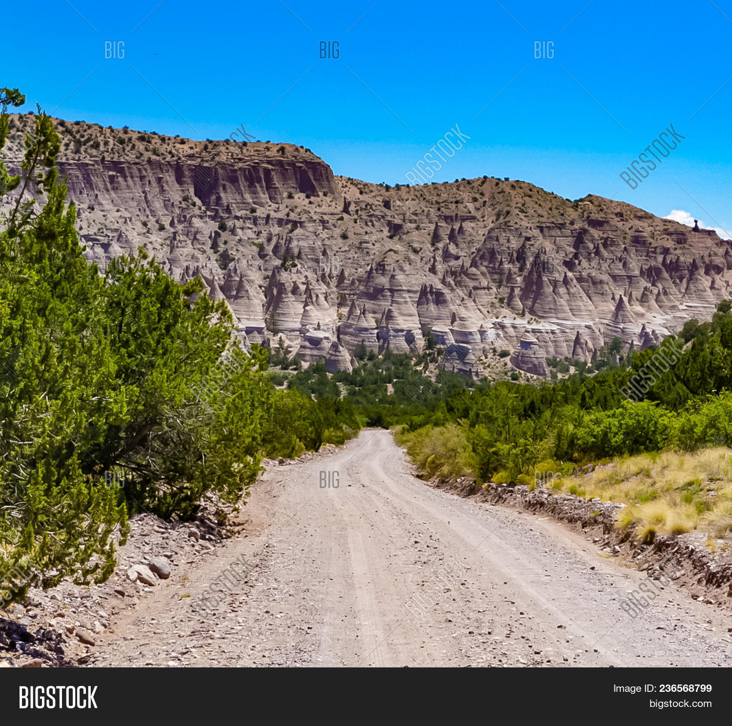 Looking Back Road That Image & Photo (Free Trial) | Bigstock