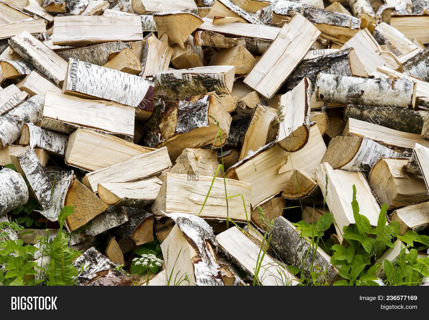 Chopped Logs Winter Image & Photo (Free Trial) | Bigstock