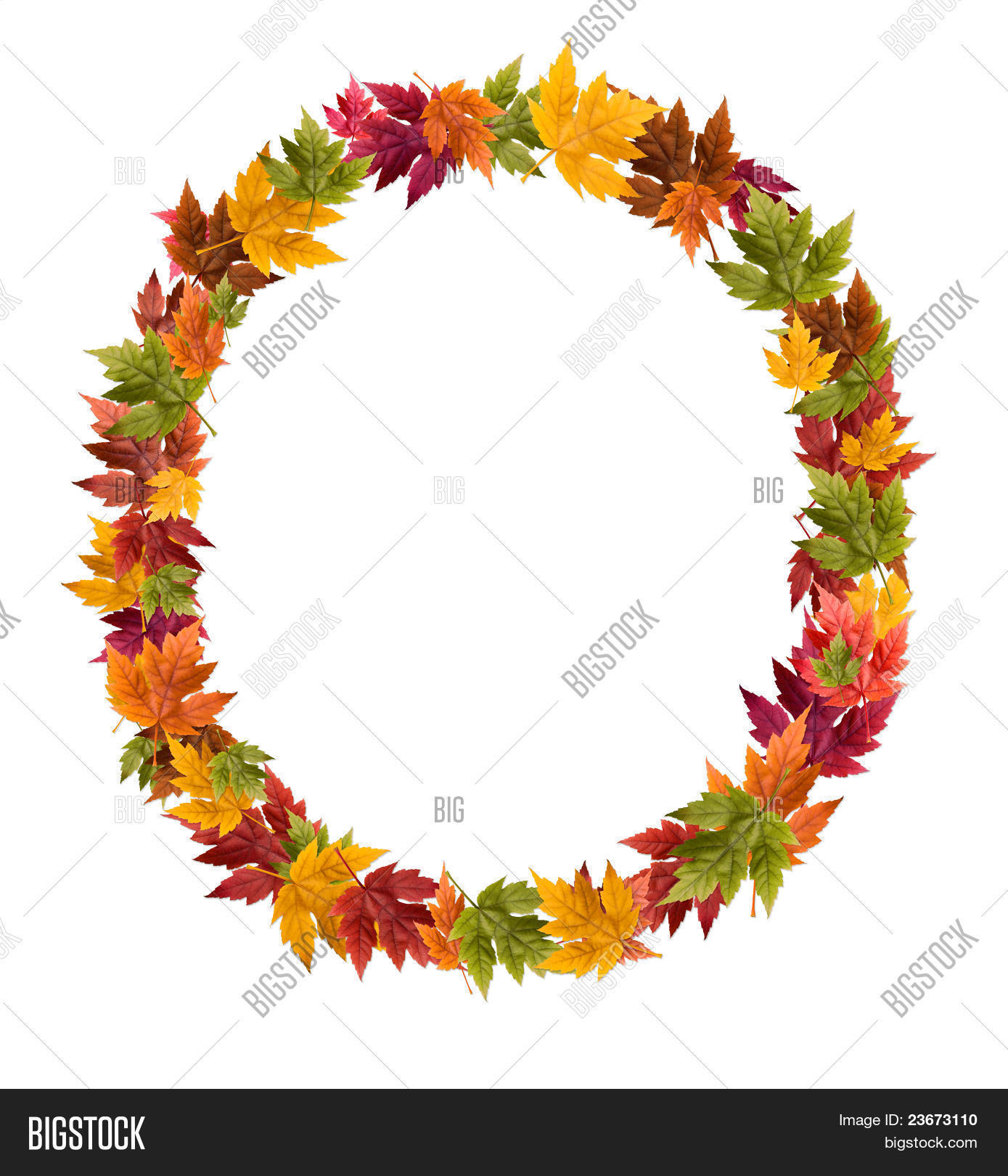 Letter O Made Autumn Image & Photo (Free Trial) | Bigstock