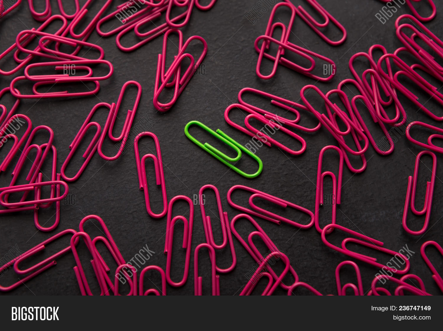 One Green Paperclip Image & Photo (Free Trial) | Bigstock