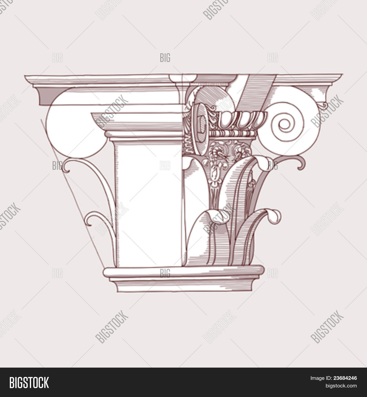 Chapiter- Hand Draw Vector & Photo (Free Trial) | Bigstock