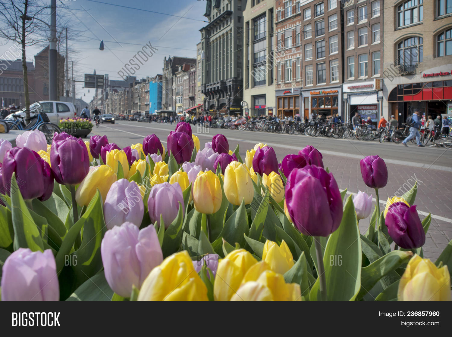 Amsterdam, Holland - Image & Photo (Free Trial) | Bigstock