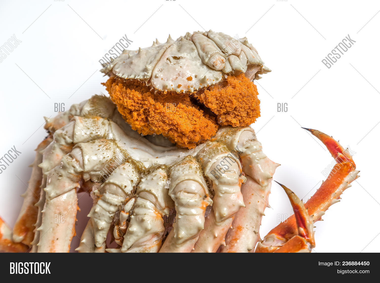 Kamchatka Crab Caviar Image & Photo (Free Trial) | Bigstock