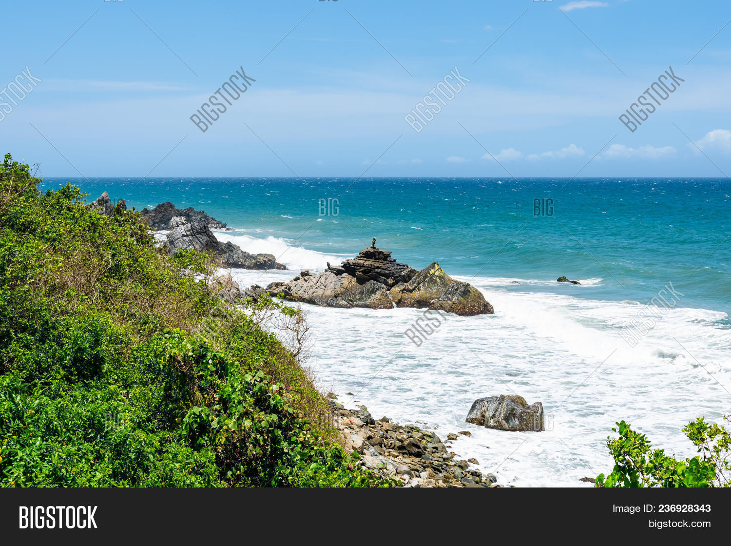 Tropical Wild Beach Image & Photo (Free Trial) | Bigstock