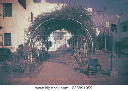 Forsaken House Image & Photo (Free Trial) | Bigstock