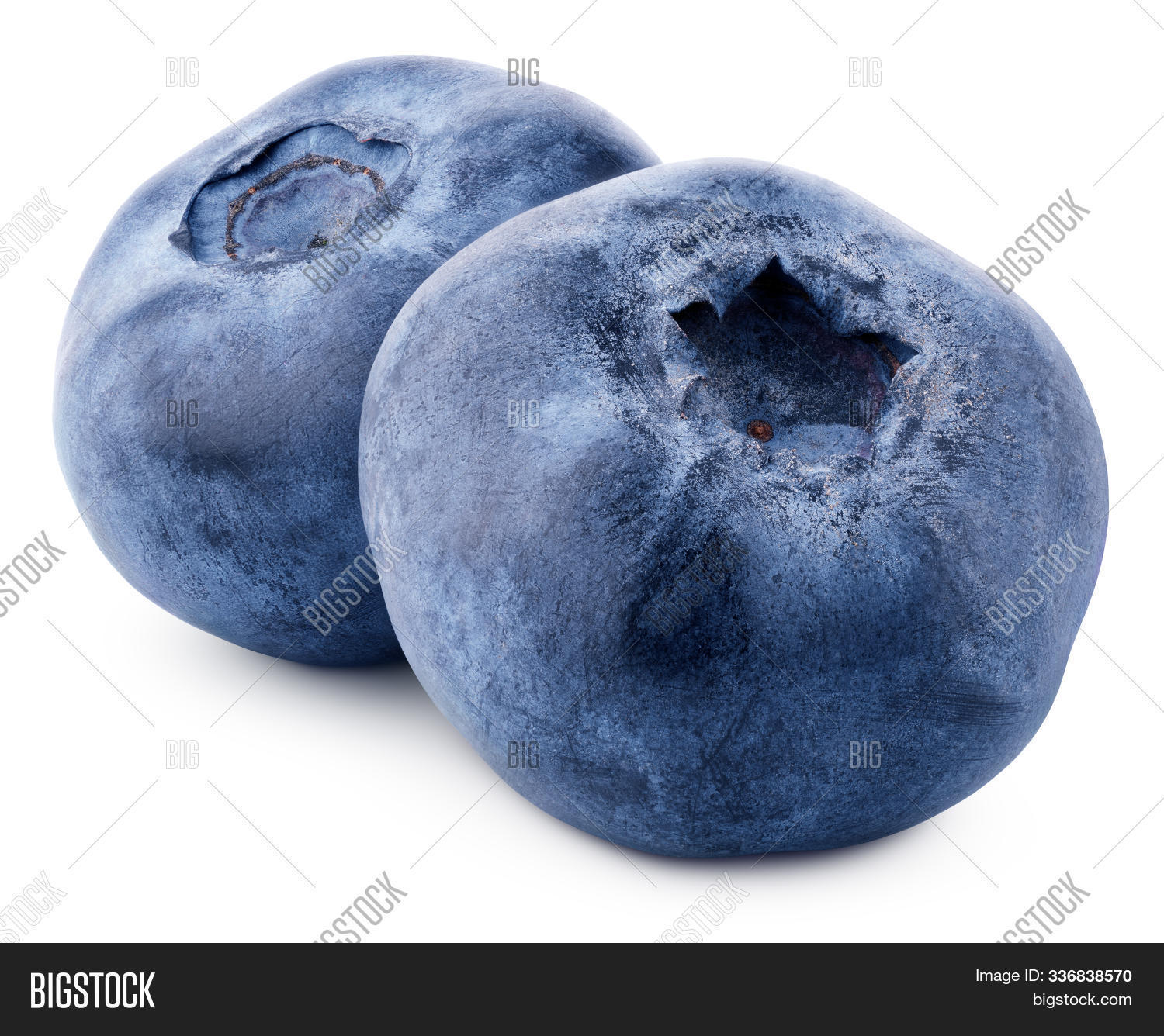 Two Blueberry Berries Image & Photo (Free Trial) | Bigstock
