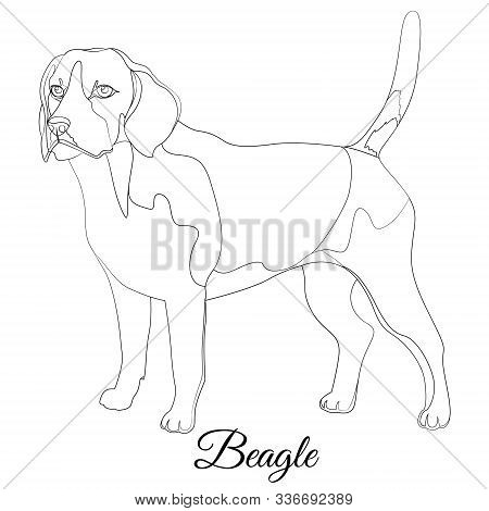 Beagle Cartoon Dog Vector & Photo (Free Trial) | Bigstock