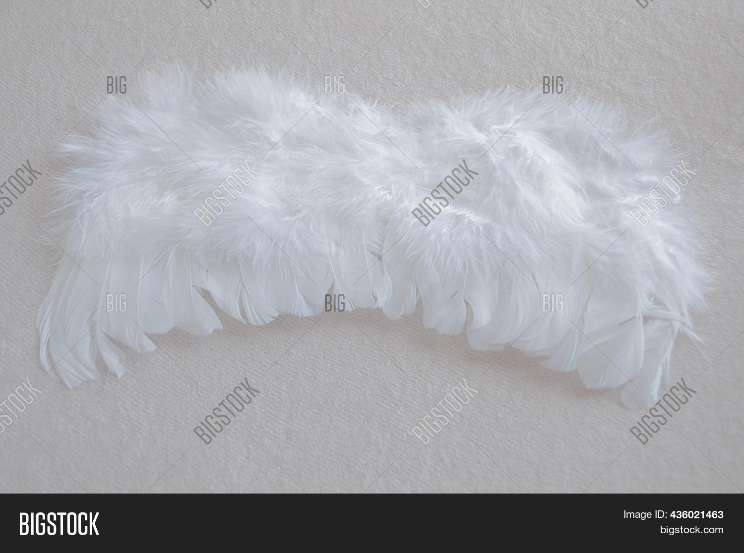 White Feather Angel Image & Photo (Free Trial) | Bigstock