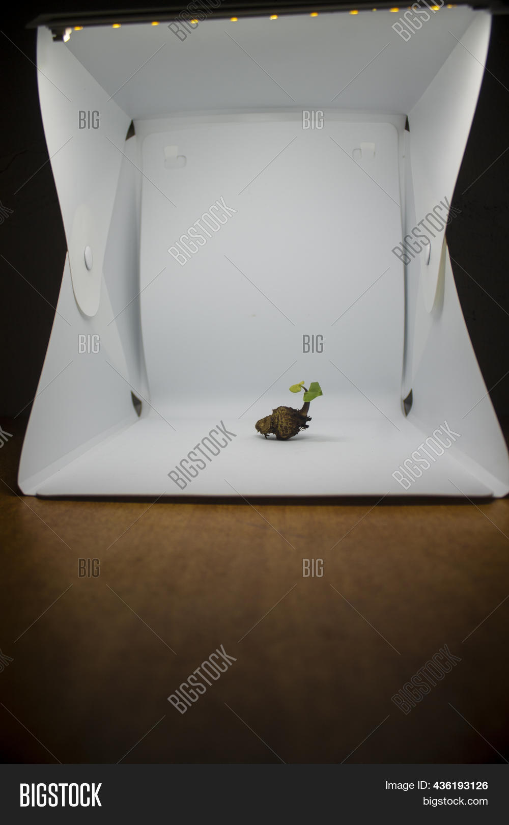 Product Photography Image & Photo (Free Trial) | Bigstock