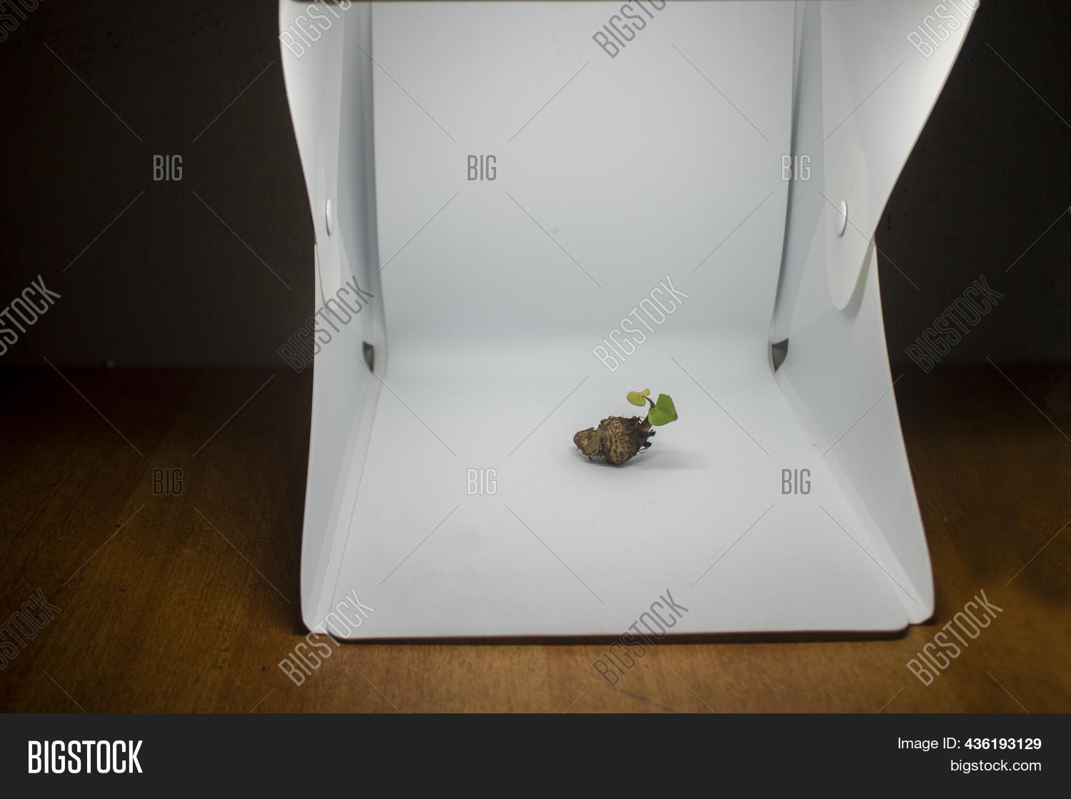 Product Photography Image & Photo (Free Trial) | Bigstock
