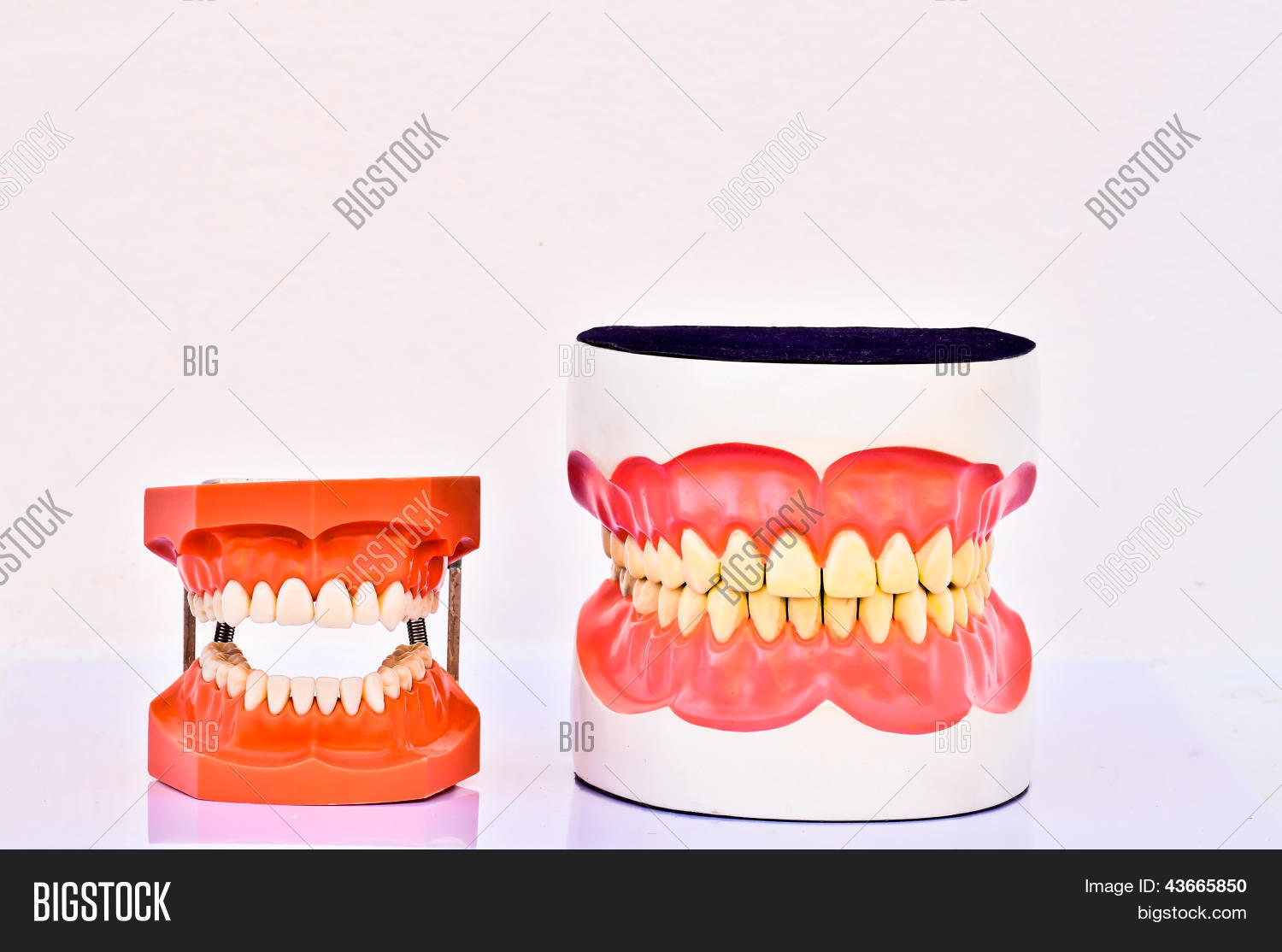 Pair Plastic Human Image & Photo (Free Trial) | Bigstock
