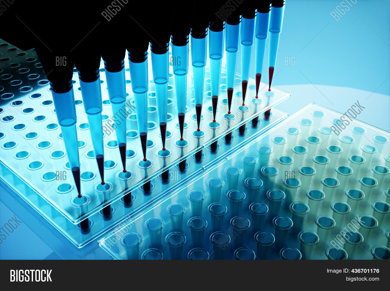 Multichannel Pipette Image & Photo (Free Trial) | Bigstock