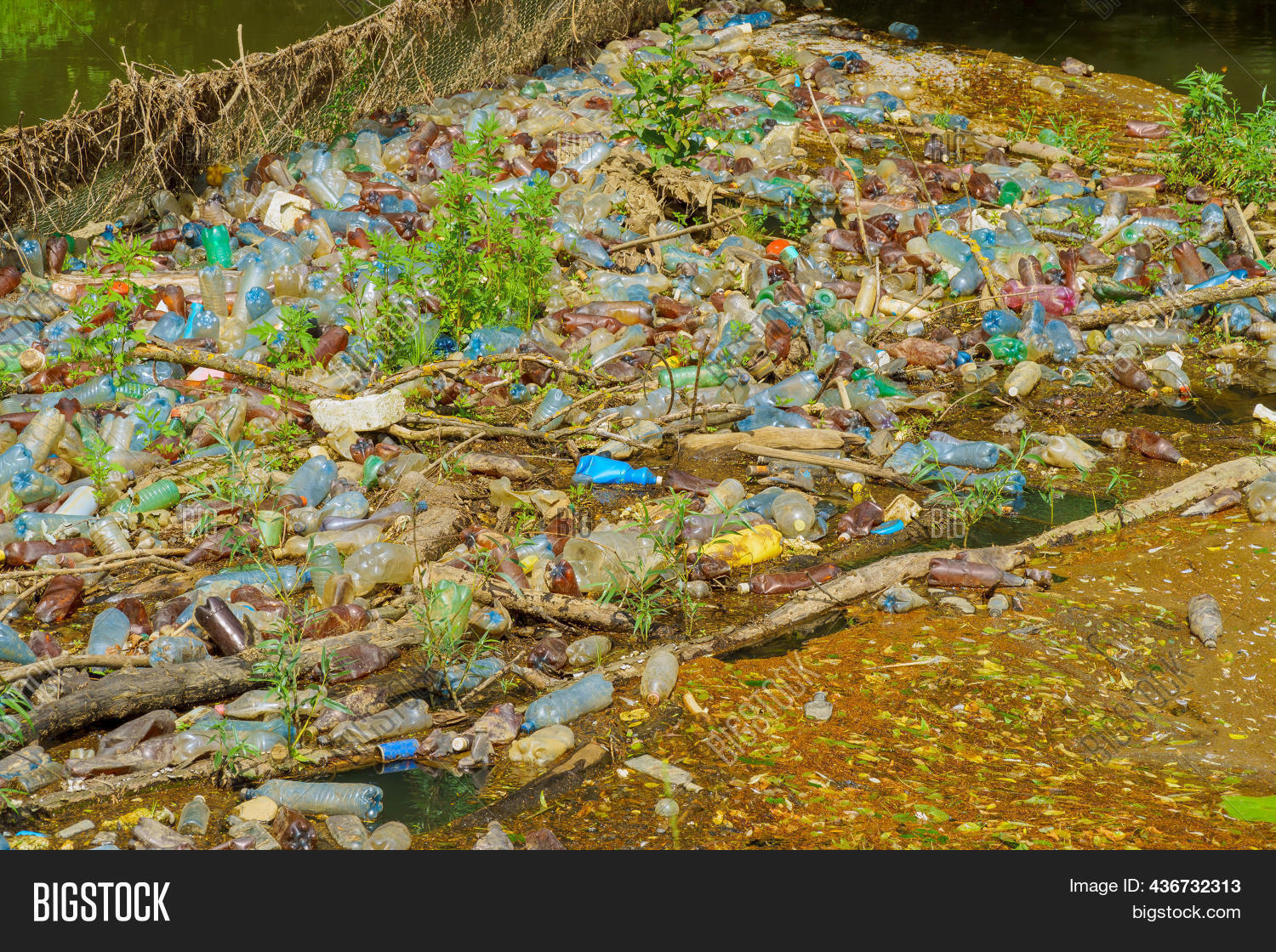 River Pollution Image & Photo (Free Trial) | Bigstock