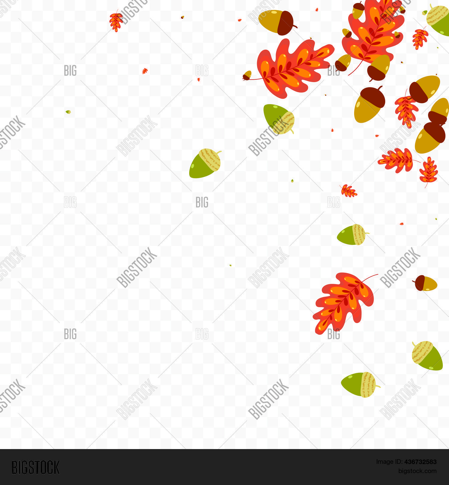 Yellow Acorn Vector & Photo (Free Trial) | Bigstock