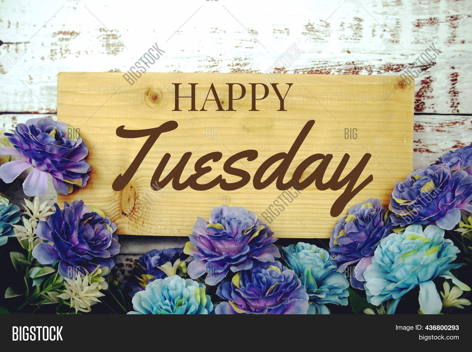 Happy Tuesday Text On Image & Photo (Free Trial) | Bigstock