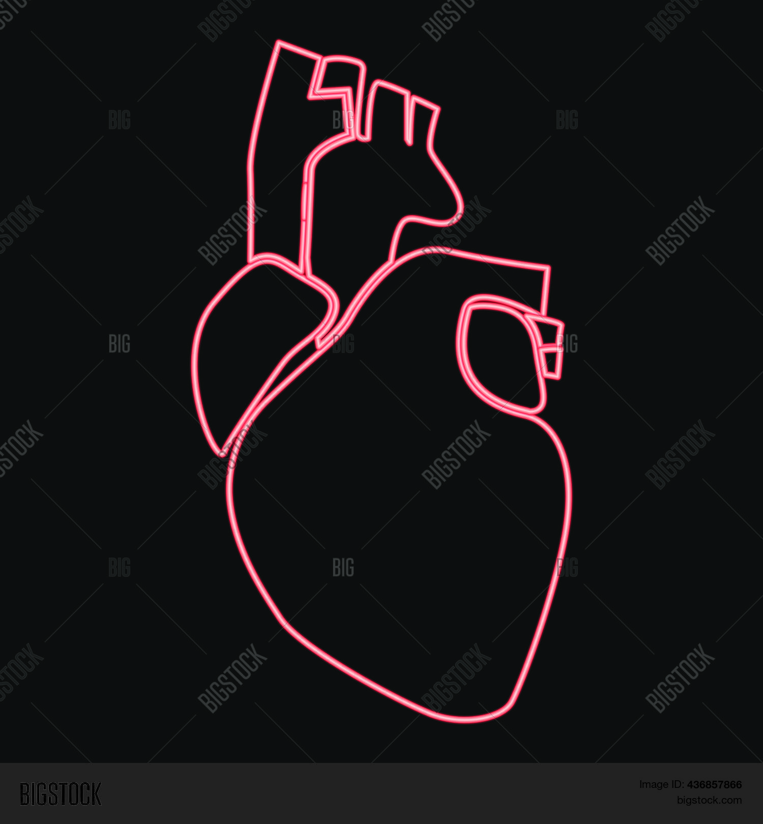 Neon Human Heart Icon Vector & Photo (Free Trial) | Bigstock