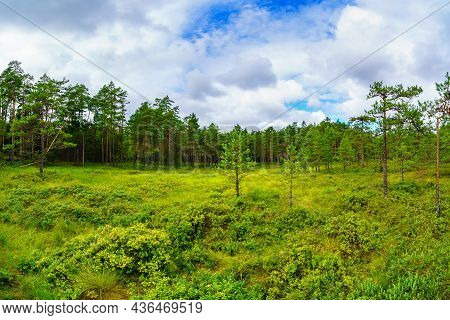 Panoramic Green Image & Photo (Free Trial) | Bigstock