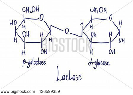 Lactose Chemical Vector & Photo (Free Trial) | Bigstock