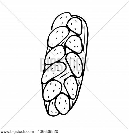 Hala Israeli Bread Vector & Photo (Free Trial) | Bigstock