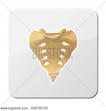 2d Illustration Human Image & Photo (Free Trial) | Bigstock