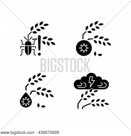 Crop Loss Reasons Vector & Photo (Free Trial) | Bigstock