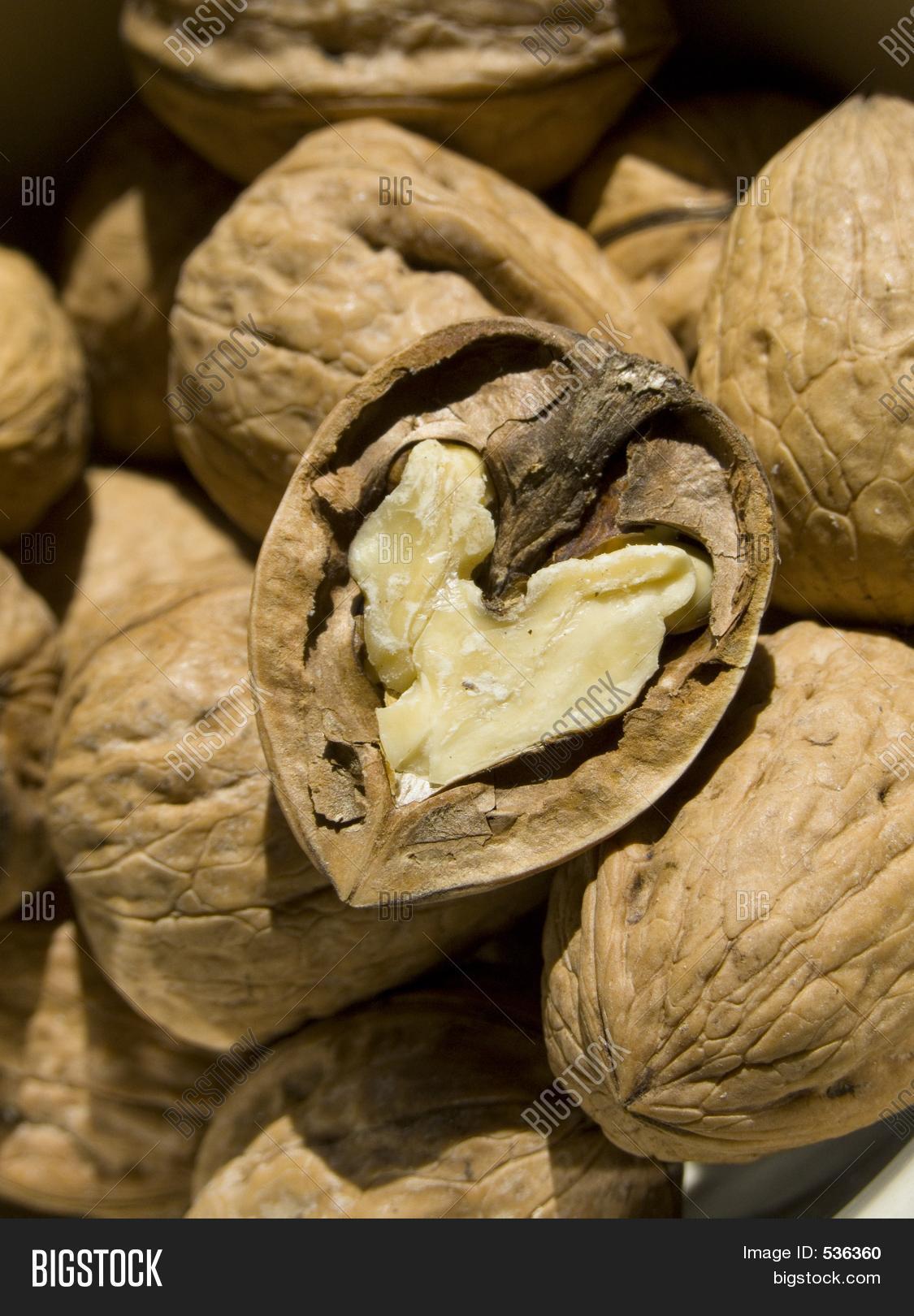 Nuts Image & Photo (Free Trial) | Bigstock