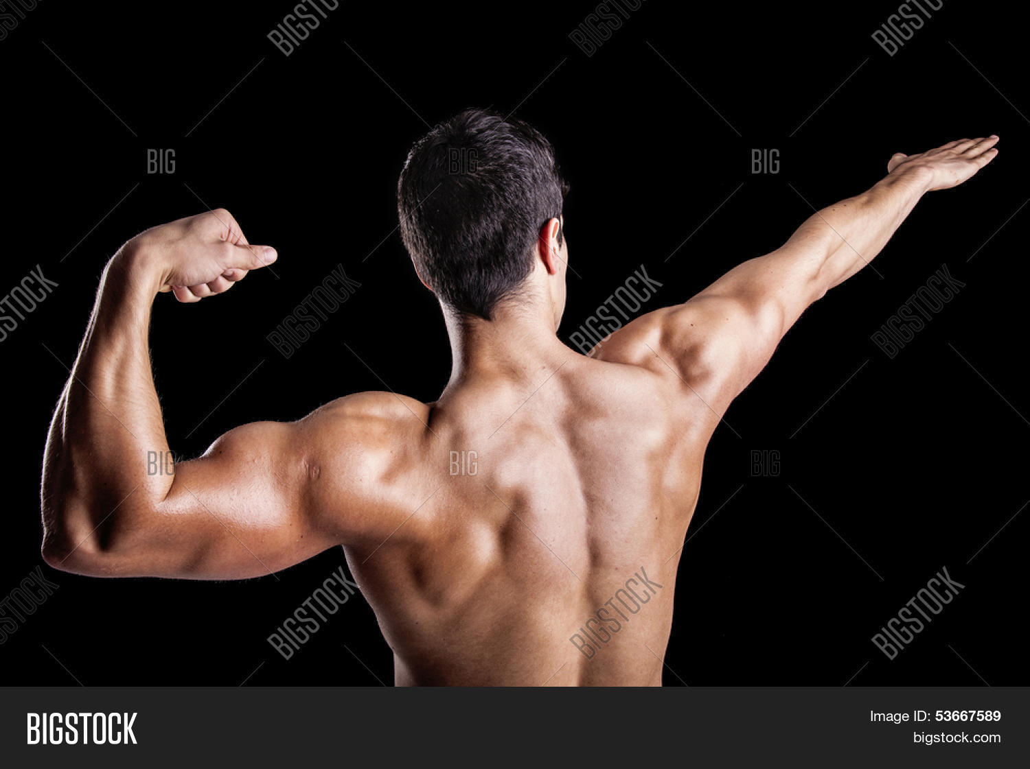 Muscle Young 图片和照片（免费试用） | Bigstock