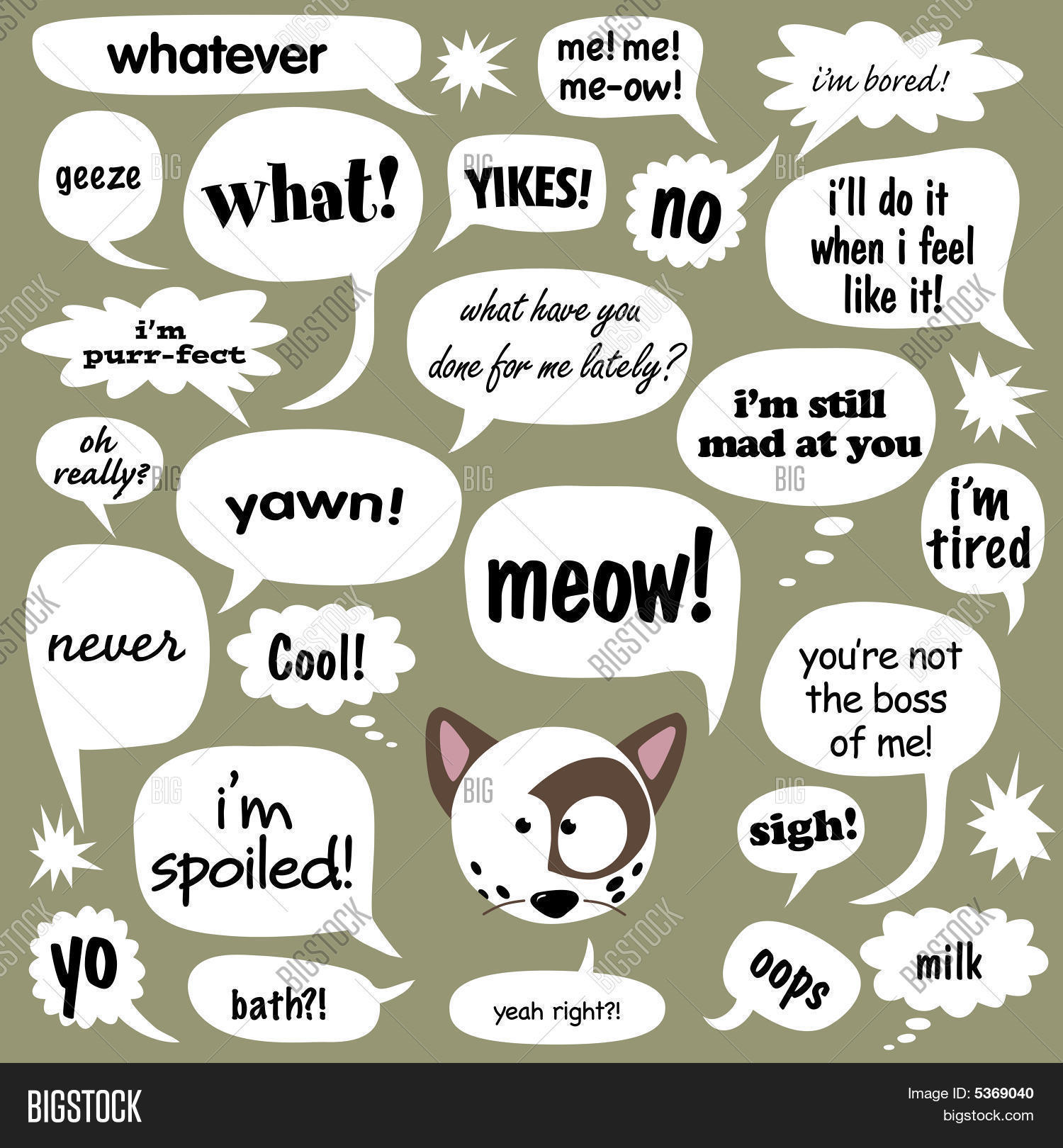 Cat Various Phrases Vector & Photo (Free Trial) | Bigstock