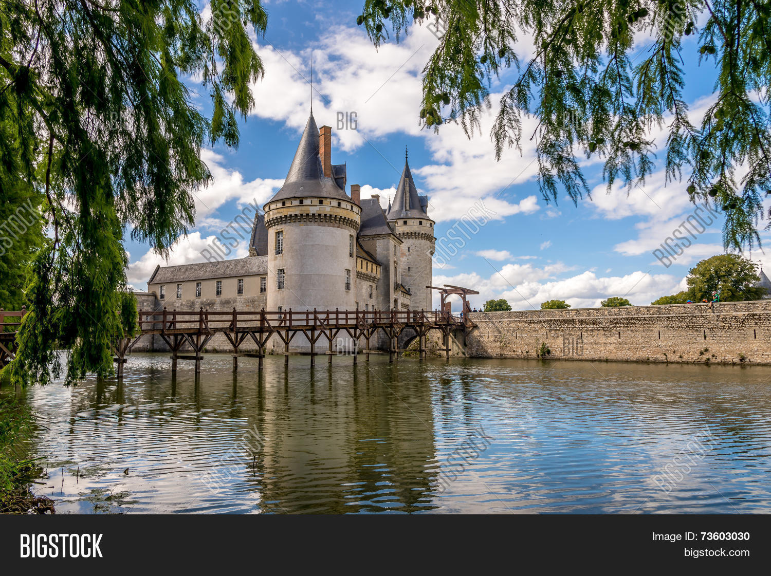 View Chateau Sully Sur Image & Photo (Free Trial) | Bigstock