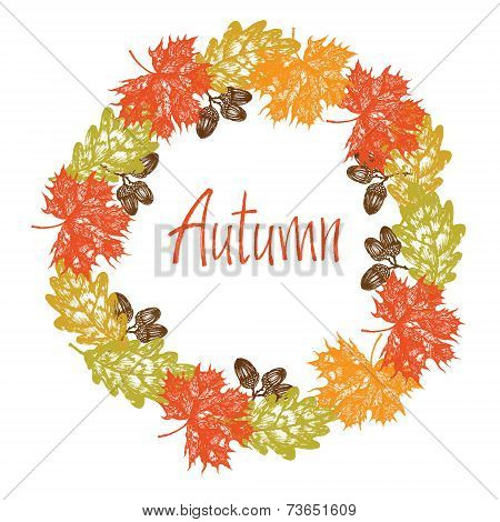 Round Frame Oak Acorn Image & Photo (Free Trial) | Bigstock