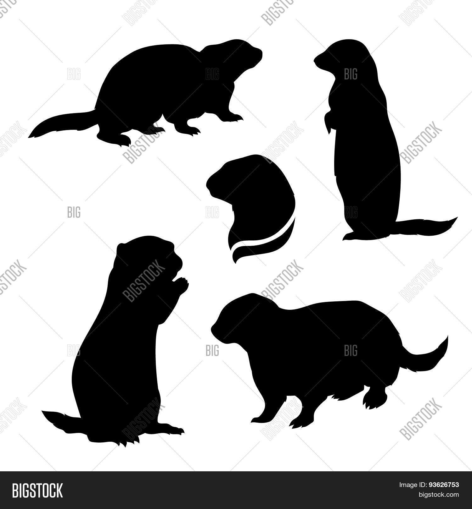 Gopher Set Vector Vector & Photo (Free Trial) | Bigstock