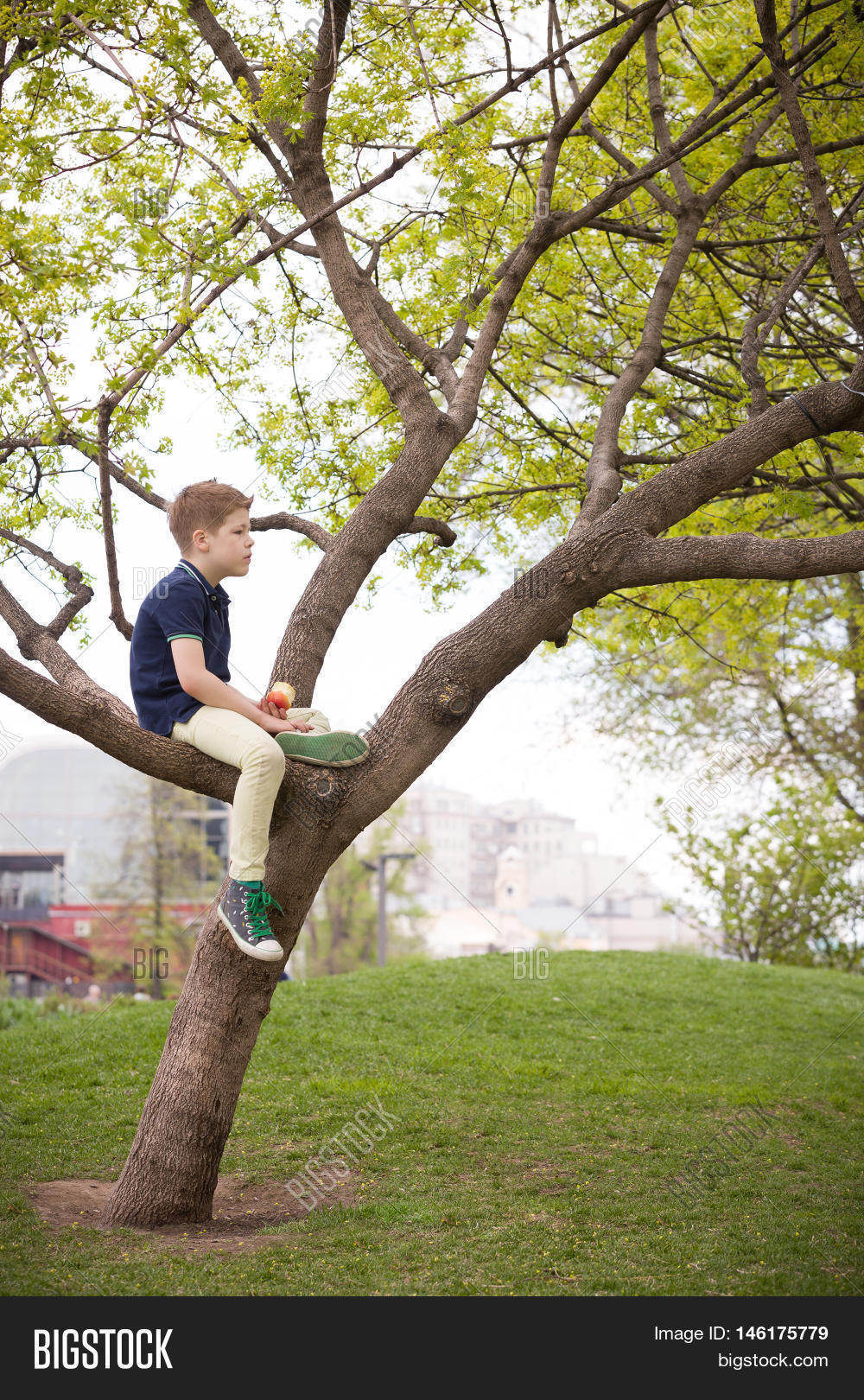 Cute Kid Boy Sitting Image & Photo (Free Trial) | Bigstock