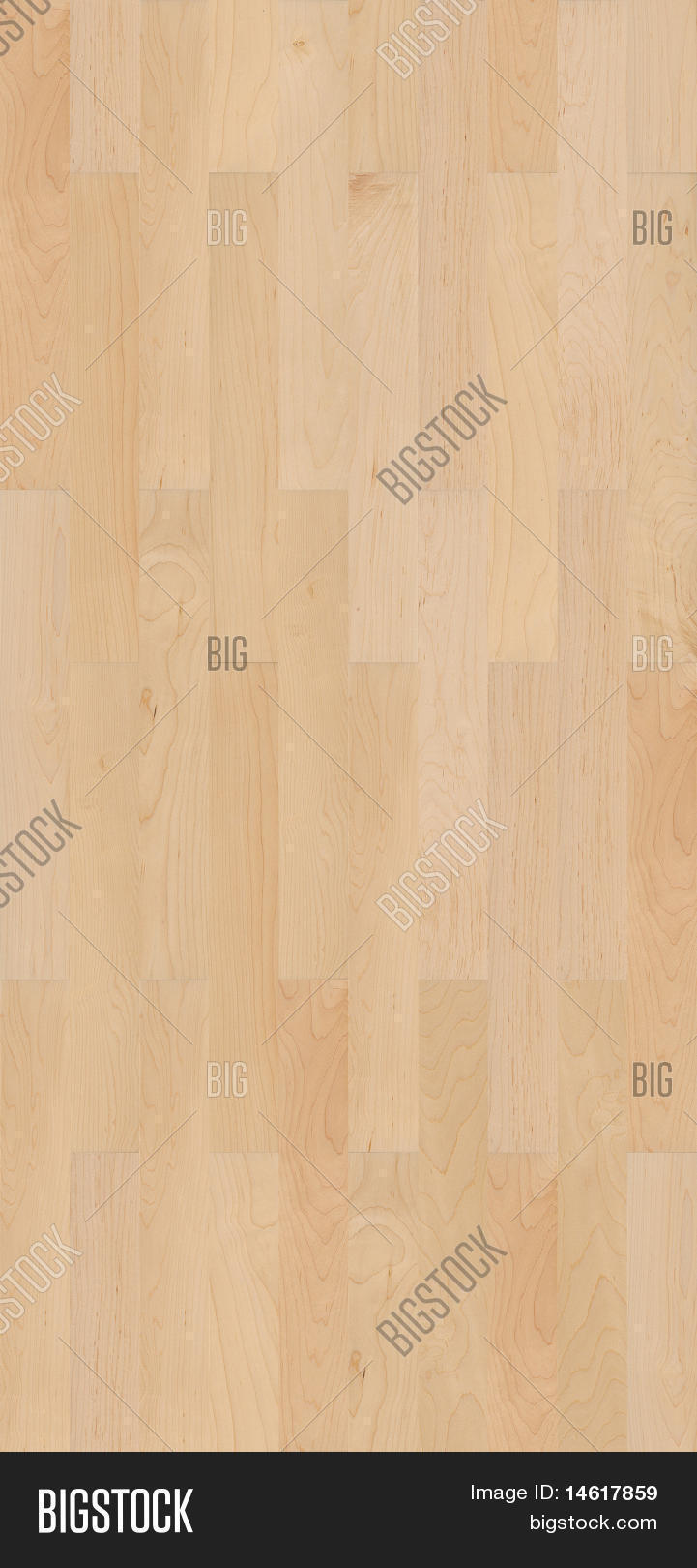 Seamless Pine Floor Image & Photo (Free Trial) | Bigstock