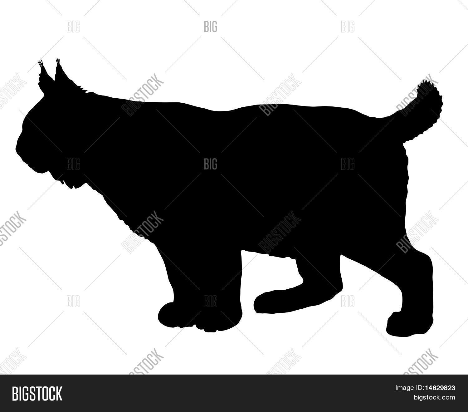Lynx Silhouette Image & Photo (Free Trial) | Bigstock