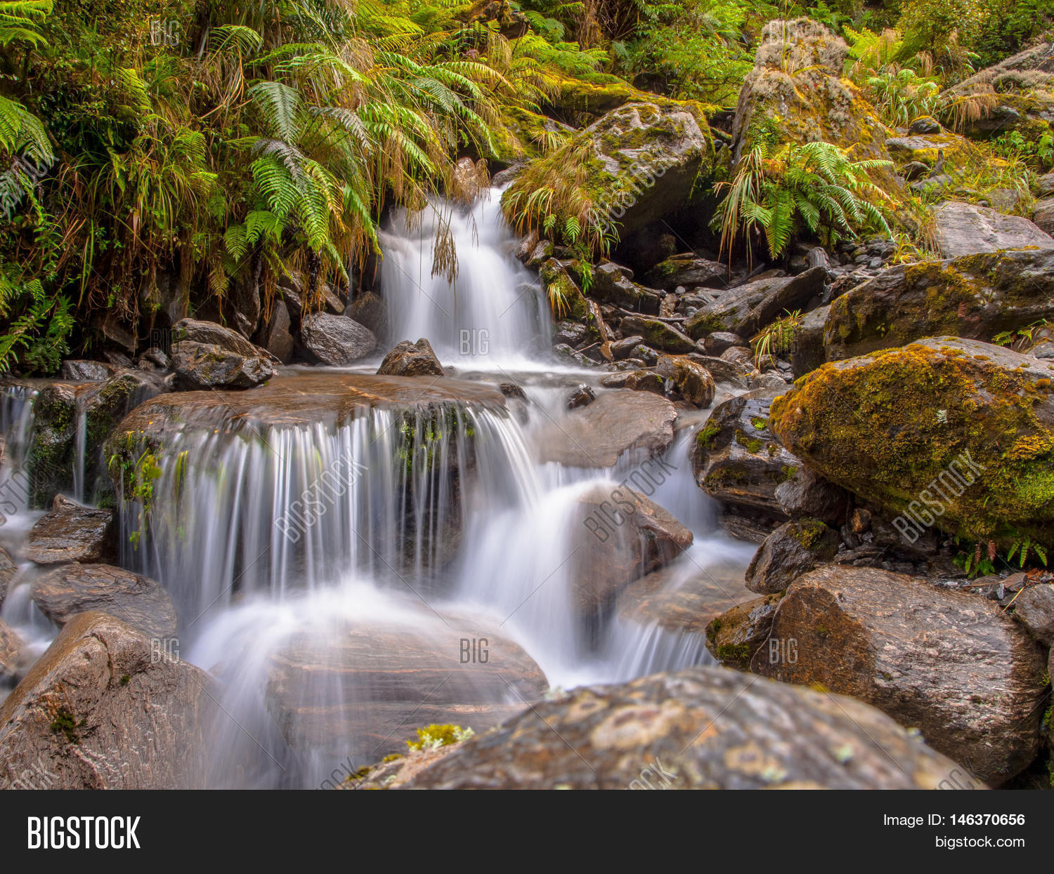Rainforest Waterfall Image & Photo (Free Trial) | Bigstock