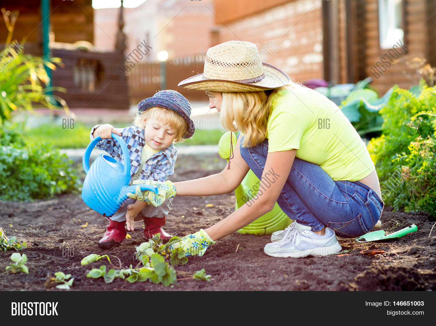 Child Boy Helps His Image & Photo (Free Trial) | Bigstock