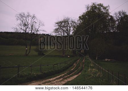 Countryside Path Going Image & Photo (Free Trial) | Bigstock