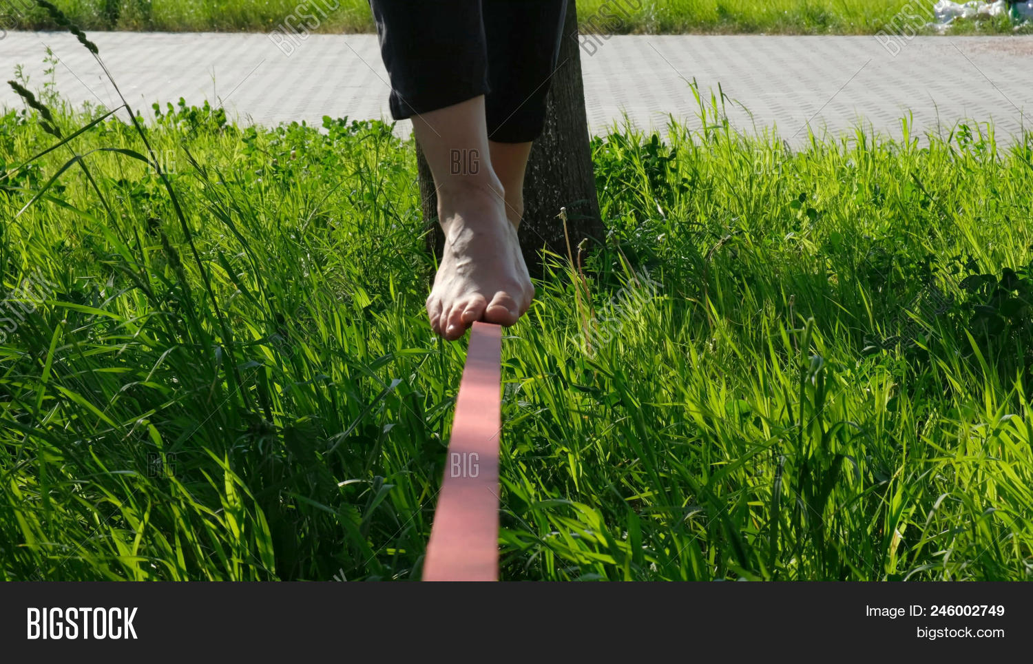 Woman Legs Walk Along Image & Photo (Free Trial) | Bigstock