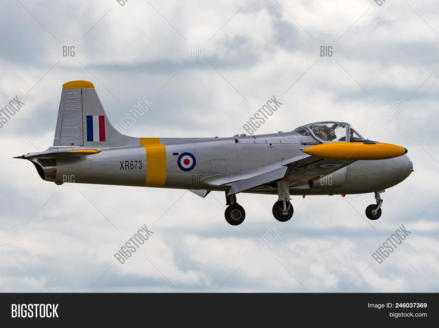 Raf Waddington, Image & Photo (Free Trial) | Bigstock